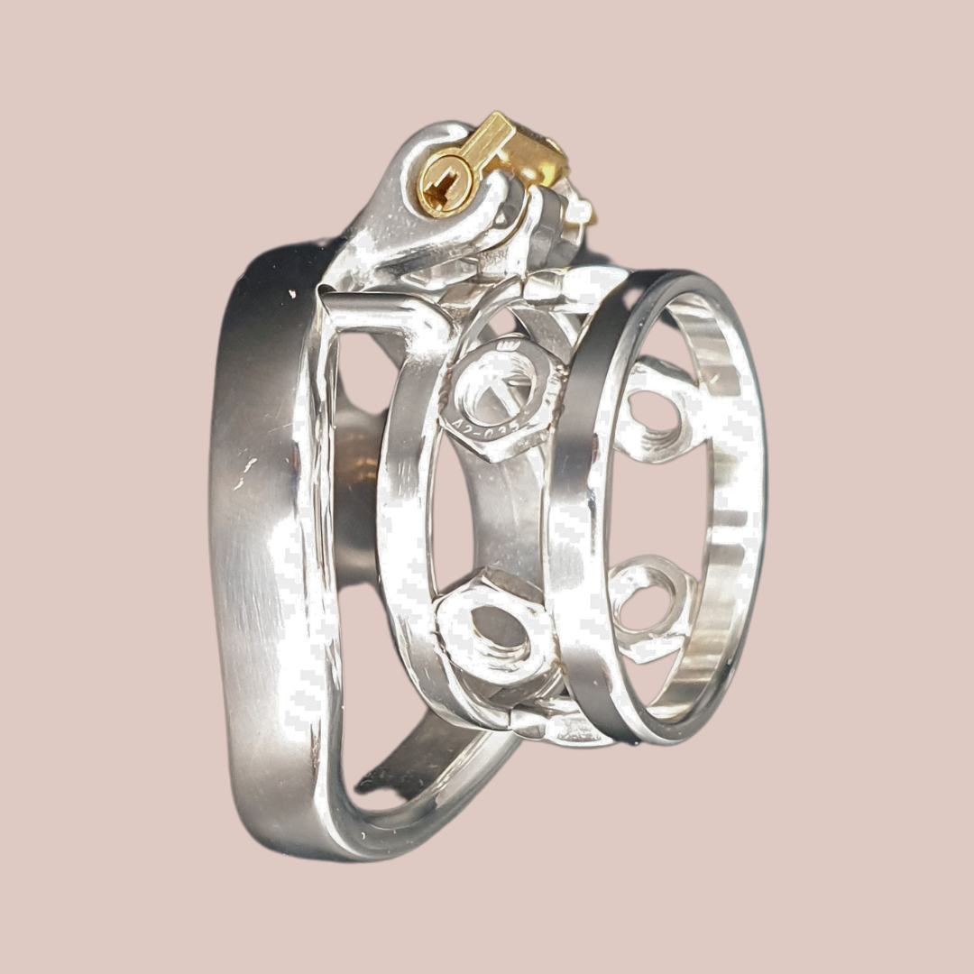 The Pussy Ring Chastity Cage House Of Chastity