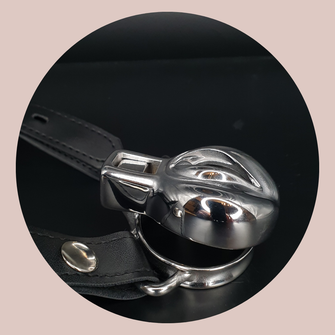 The Pussy Steel Chastity Cage House Of Chastity