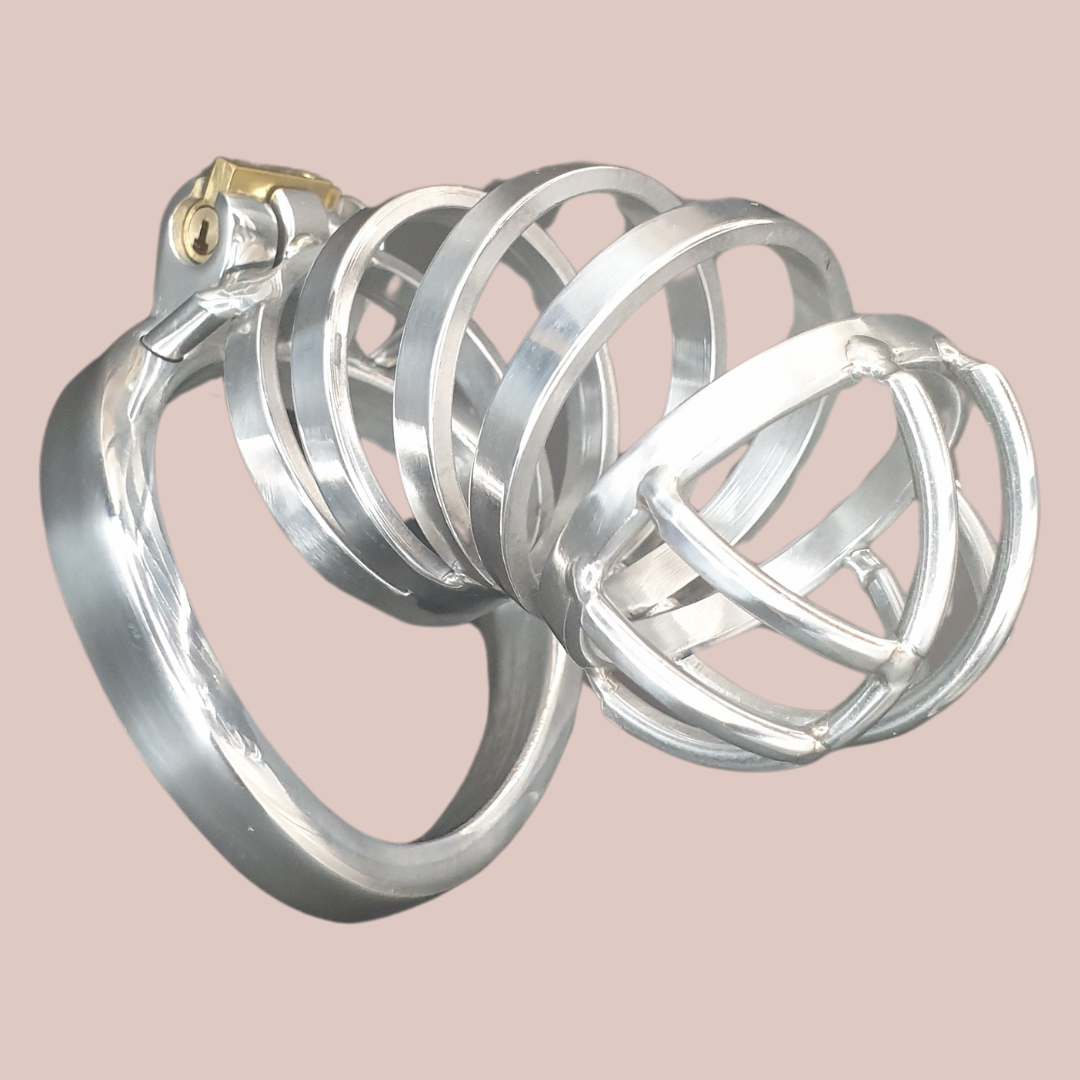 Chaste Bird Large Metal Chastity Cage – House of Chastity