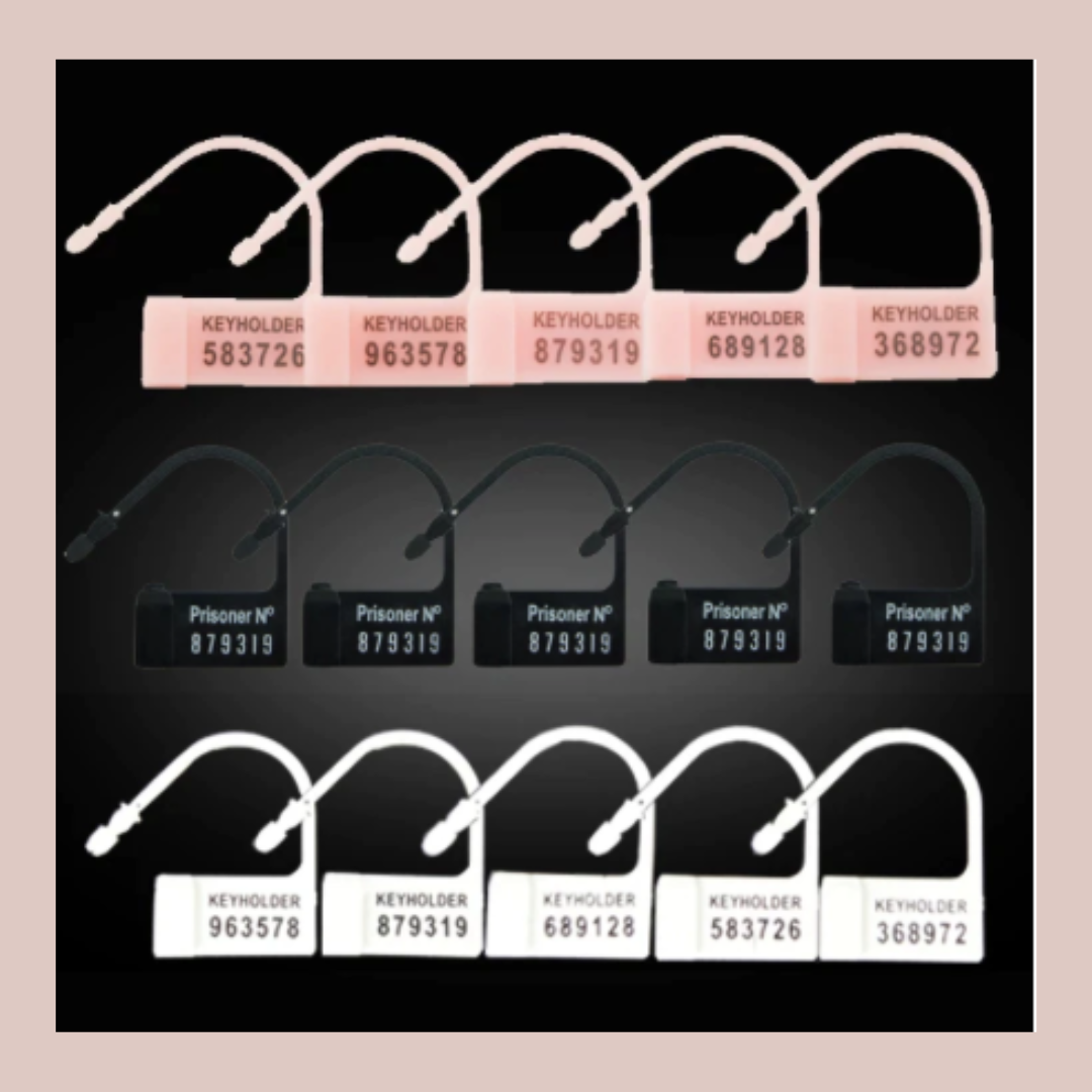 Plastic Stealth Locks For Chastity Cages – House of Chastity