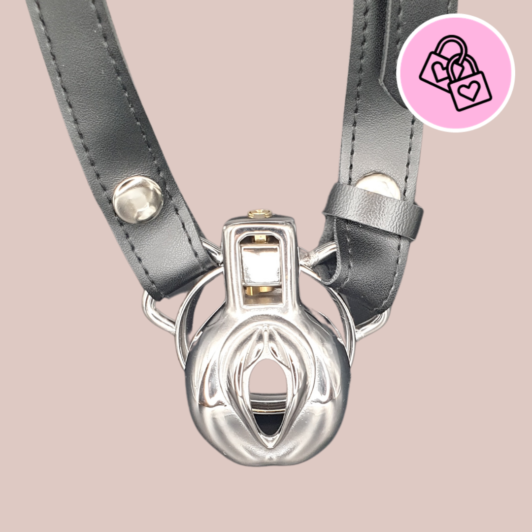 The Pussy Steel Chastity Cage House Of Chastity