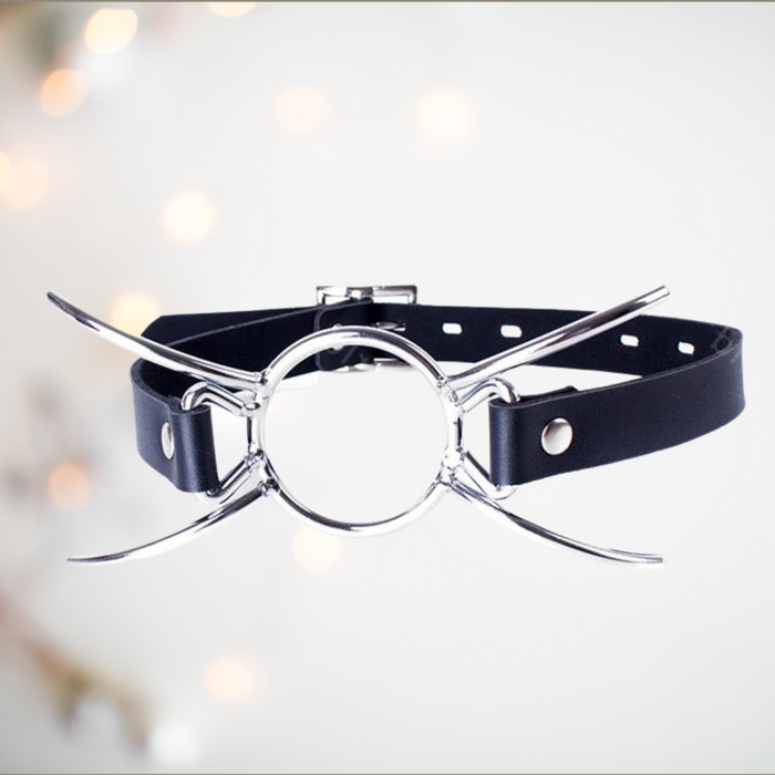 Spider Gag House Of Chastity